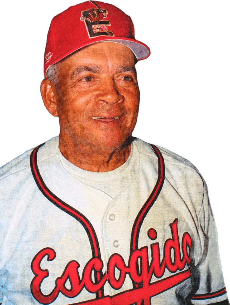 Inicio - LIDOM Shop - República Dominicana